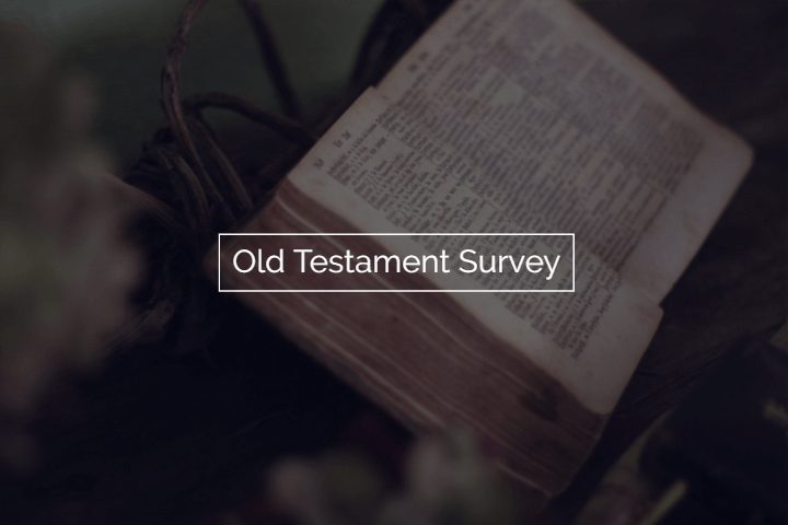 Old Testament Survey - Independent Baptist Online College